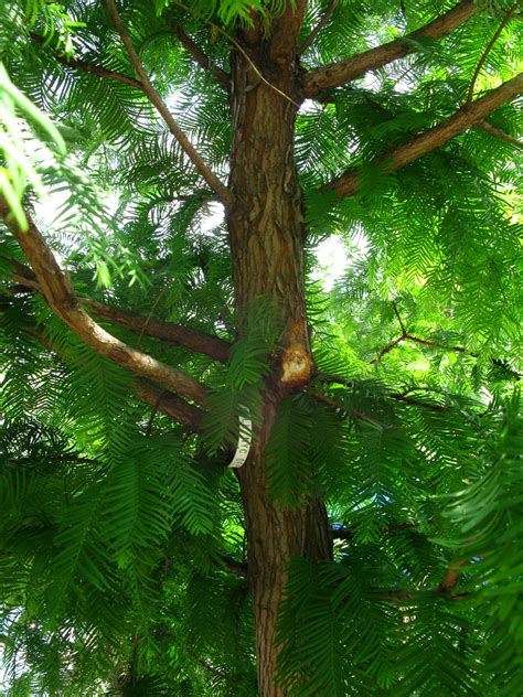 Torn Park Pl Btw Classon And Franklin Av 61b 1 Details A Flickr