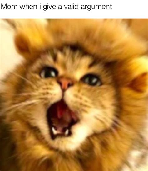 Why Mom R Memes