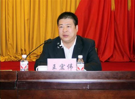 王宏伟图册360百科