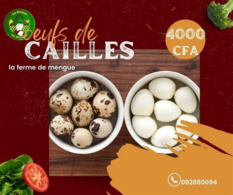 La Ferme De Mengue Lófalla