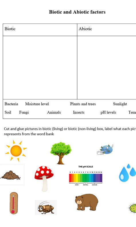 Biotic And Abiotic Sort Teaching Resources
