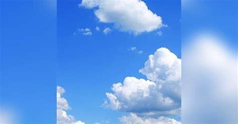 Tribute Wall Rudolph Panetti