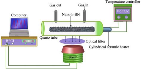 Schematic Representation Of The Ctl Sensing System Download Scientific Diagram