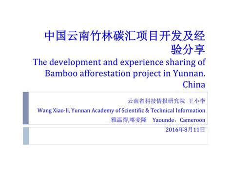 The Development And Experience Sharing Of Bamboo Afforestation Project In Yunnan China Pdf
