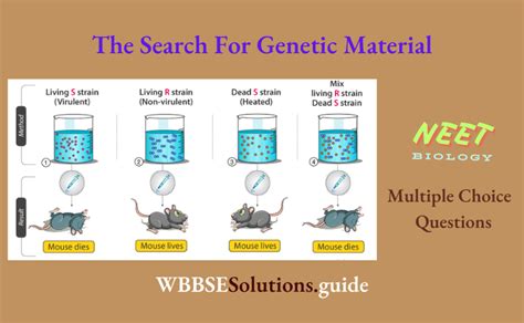 Neet Biology The Search For Genetic Material Multiple Choice Question And Answers Wbbse Solutions
