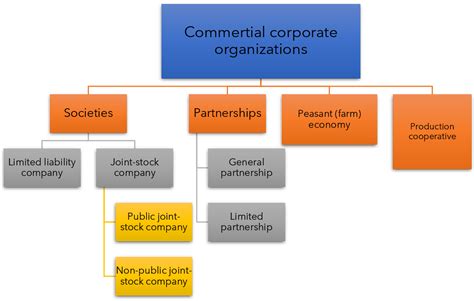figure 1 from classification of commercial corporate organizations in