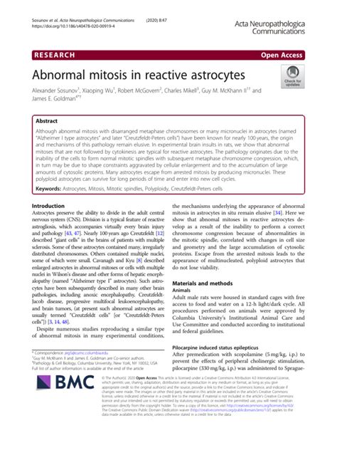 Abnormal Mitosis 2020 Sosunov Pdf Mitosis Astrocyte