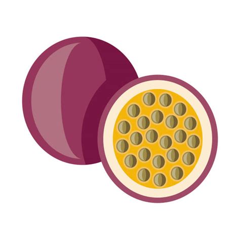 Clip Art Of Passion Fruit Illustrations Royalty Free Vector Graphics