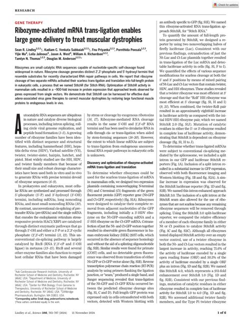Ribozyme Activated Mrna Trans Ligation Enables Large Gene Delivery To