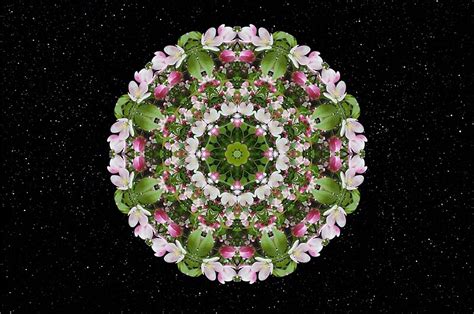Faerie Circle By Karen Casey Smith Redbubble