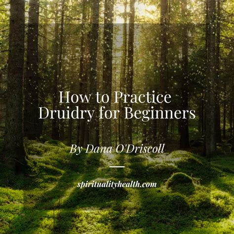 Druidry For Beginners Connecting With Nature Creativity And The Divine