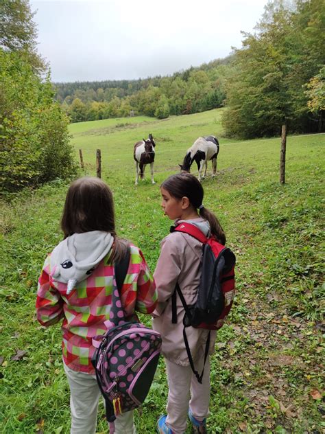 Četrtošolci V CŠod Lipa OŠ Alojza Gradnika Dobrovo