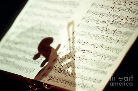 Violin Score Shadow Of A Violin Scroll Pegs And Bow Photograph By Fine Art America