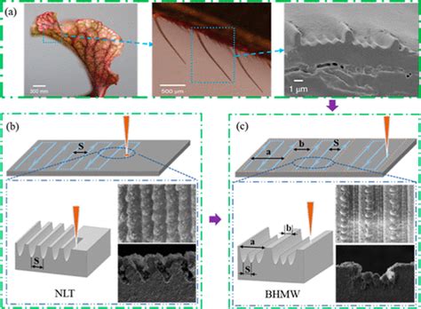 High Performance Bioinspired Hierarchical Microgroove Wick For Ceramic