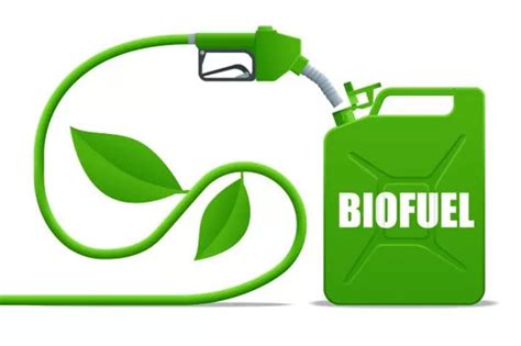 Are Biofuels Expensive An In Depth Analysis