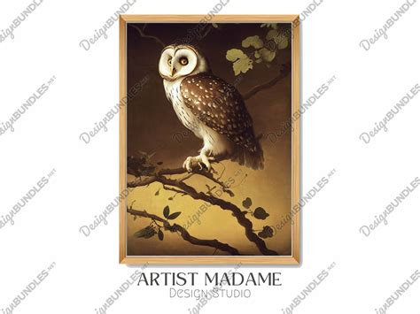 Vintage Owl Art