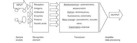 Biosensor Detection Principle Download Scientific Diagram