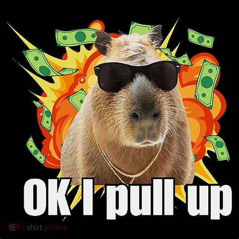 Ok I Pull Up Capybara Funny Meme Pajama Set Tshirtpalace