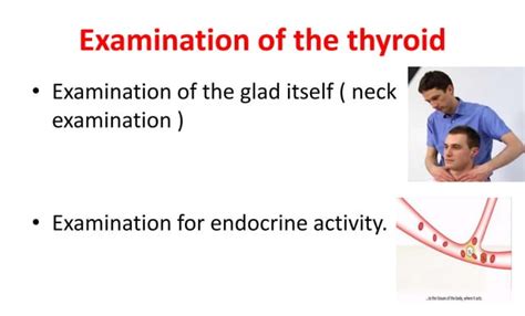 Thyroid History And Physical Examination Pptx Thyroid Disorders