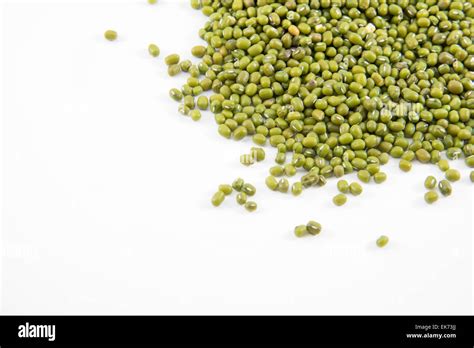 Vigna Radiataplants Legumes Small Cooking And Beverages Health