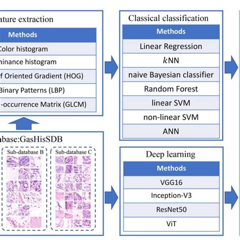figure workflow of the complementarity comparison experiment