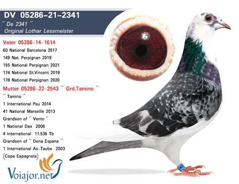 Detalii Licitatie Licitație De Top Lothar Lessmeister Germania