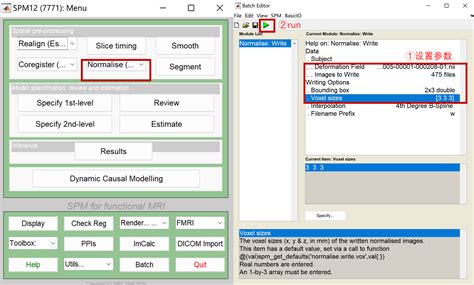 Fmri数据预处理 知乎