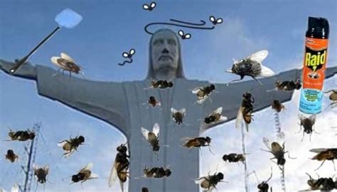 Las Moscas Y Los Memes Invaden La Laguna El Siglo De Torreón