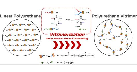 Vitrimerization Of Linear Polyurethane Via Group Revival Induced