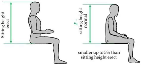 Chair Size Design Based On User Height
