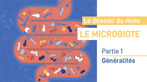Les Recherches Sur Le Microbiote Partie 1 Généralités Ihu