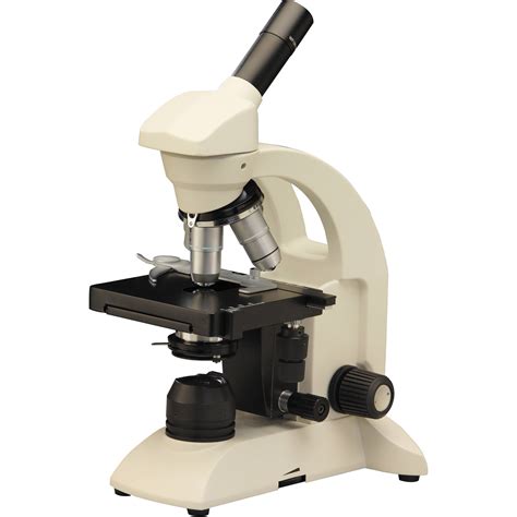 Compound Light Microscope Images