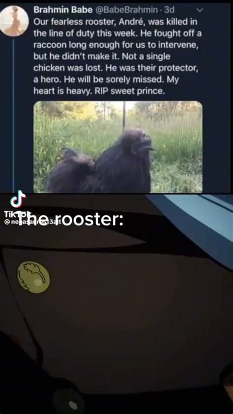 Rip Andre Rclumsykitty