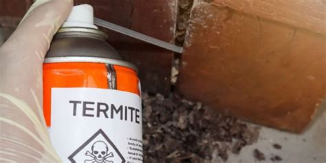 A Guide To Termite Protection Pest Control Brisbane Smart Pest Control