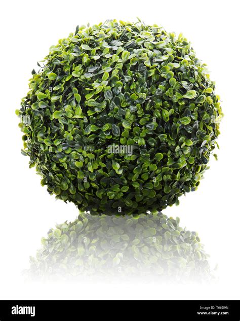 Green Grass Texture From Soccer Cut Out Stock Images And Pictures Alamy