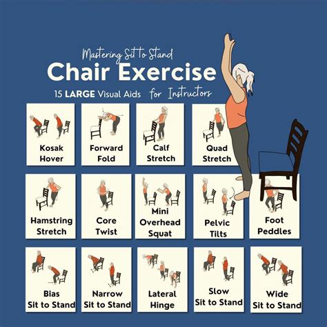 Chair Exercise Illustrations For Fitness Instructors Resistance