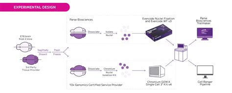 See Why Researchers Choose Evercode Parse Biosciences