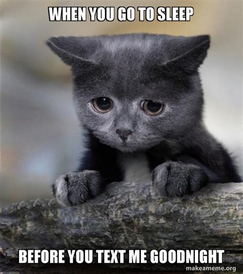 Goodnight Cat Meme