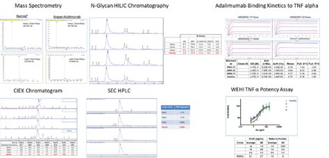 Biosimilar Development At Aragen Aragen Life Sciences