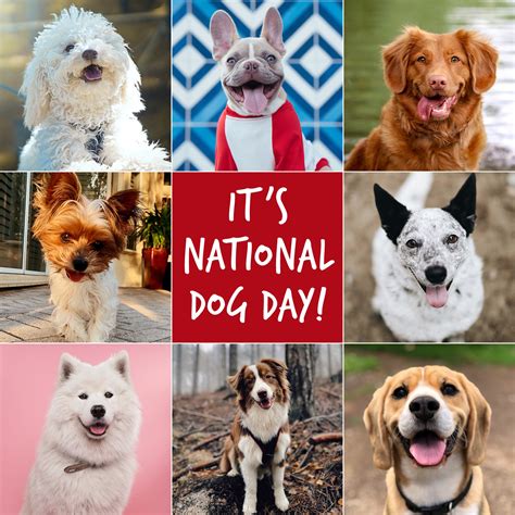 Cottery Group Llc Dallas Tx