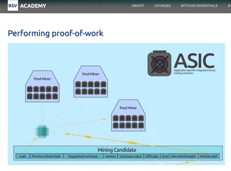 do you want to understand how the bitcoin protocol really works