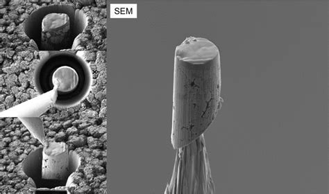 X Ray Nanotomography For Advanced Materials And Battery Research
