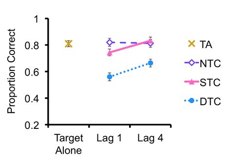 using rapid serial visual presentation to measure set specific capture