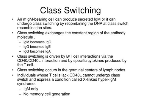 Ppt B Cell Generation Activation And Differentiation Powerpoint