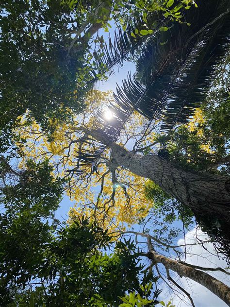 Sgf 2024 Photo List Build — Silk Grass Farms Belize