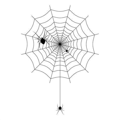 Premium Vector Spiders On The Web Vector Illustration