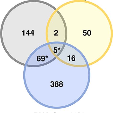 Comparison Of The Rna Seq And The Hits Clip Experiments Venn Diagram