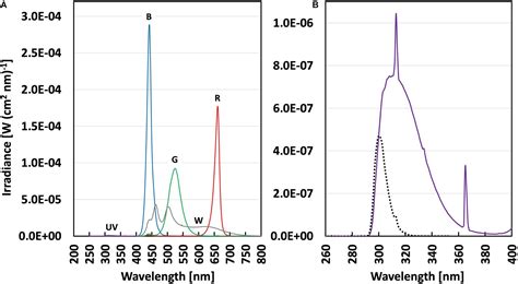 Frontiers Spectral Composition Of Light Affects Sensitivity To Uv B And Photoinhibition In