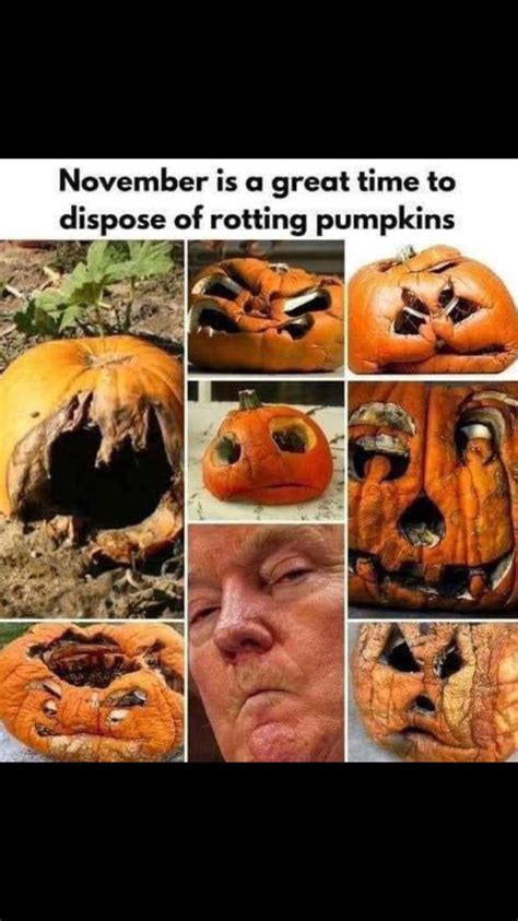 Did My Part Album On Imgur