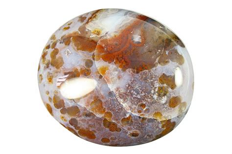 2 35 Polished Ocean Jasper Stone New Deposit 297255 For Sale